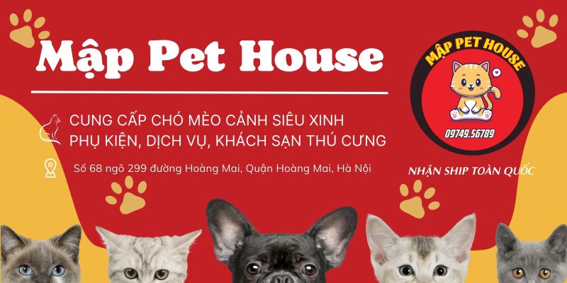 Mập Pet House - Cung cấp chó mèo cảnh siêu xinh, khách sạn thú cưng